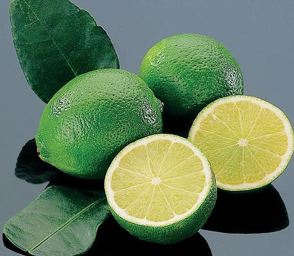 Lime - Tahitian - Blerick Tree Farm