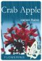 Malus ioensis 'Rubra' - Red Flowering Crab Apple - Blerick Tree Farm