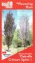 Prunus cerasifera - Oakville Crimson Spire - Blerick Tree Farm