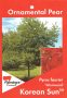 Pyrus fauriei - Westwood - Korean Sun - Blerick Tree Farm