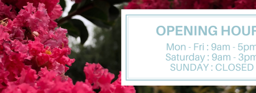 Advanced trees delivered to your door. Browse our range online