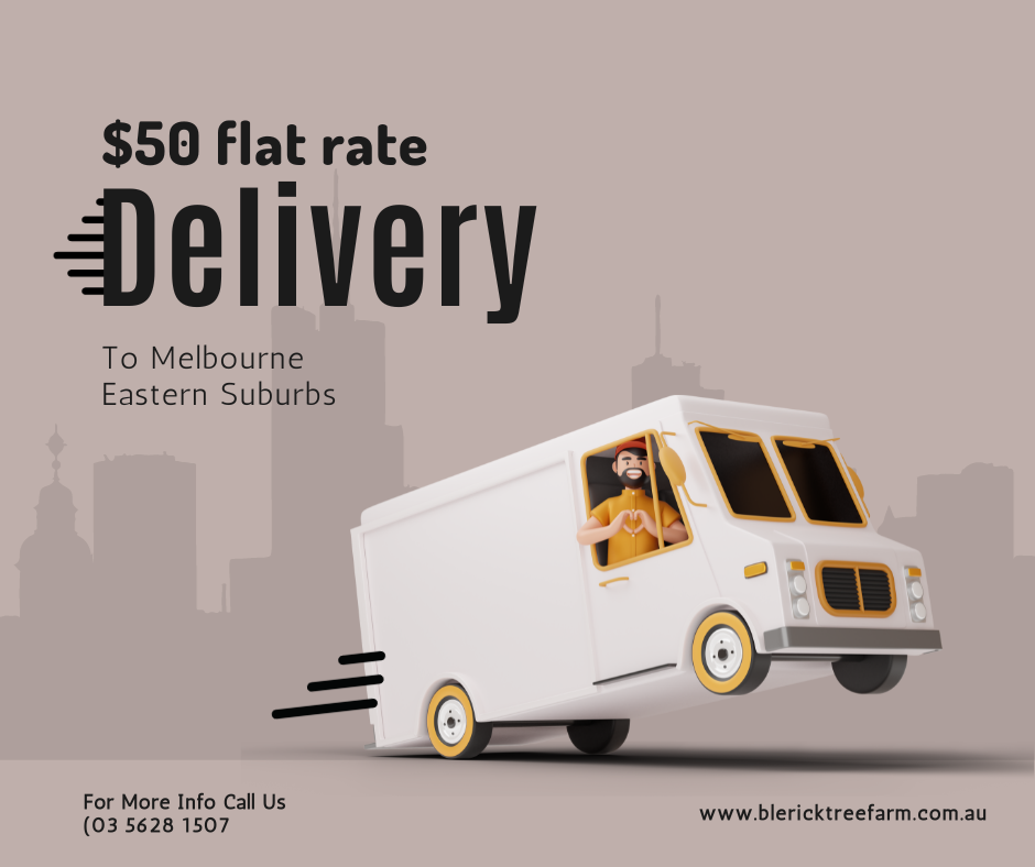 Tree Delivery Service | Trees delivered to your door | Blerick Tree Farm